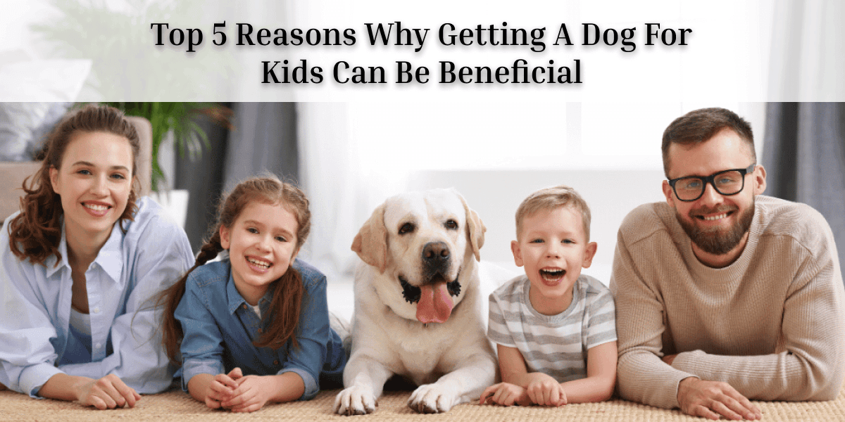 Top 5 Reasons Why Getting A Dog For Kids Can Be Beneficial